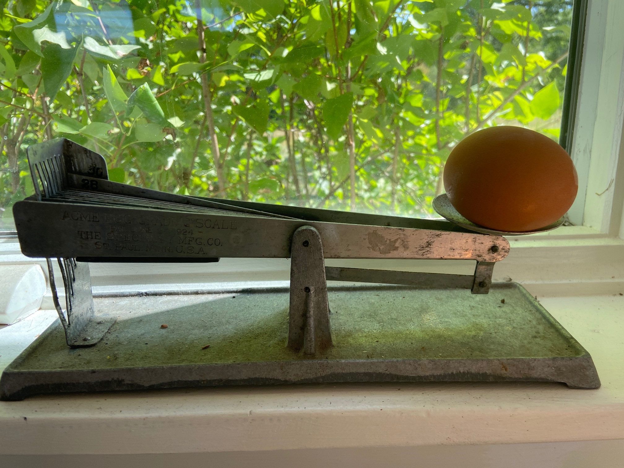 What’s the deal with these tiny eggs? – Misty Brook Farm