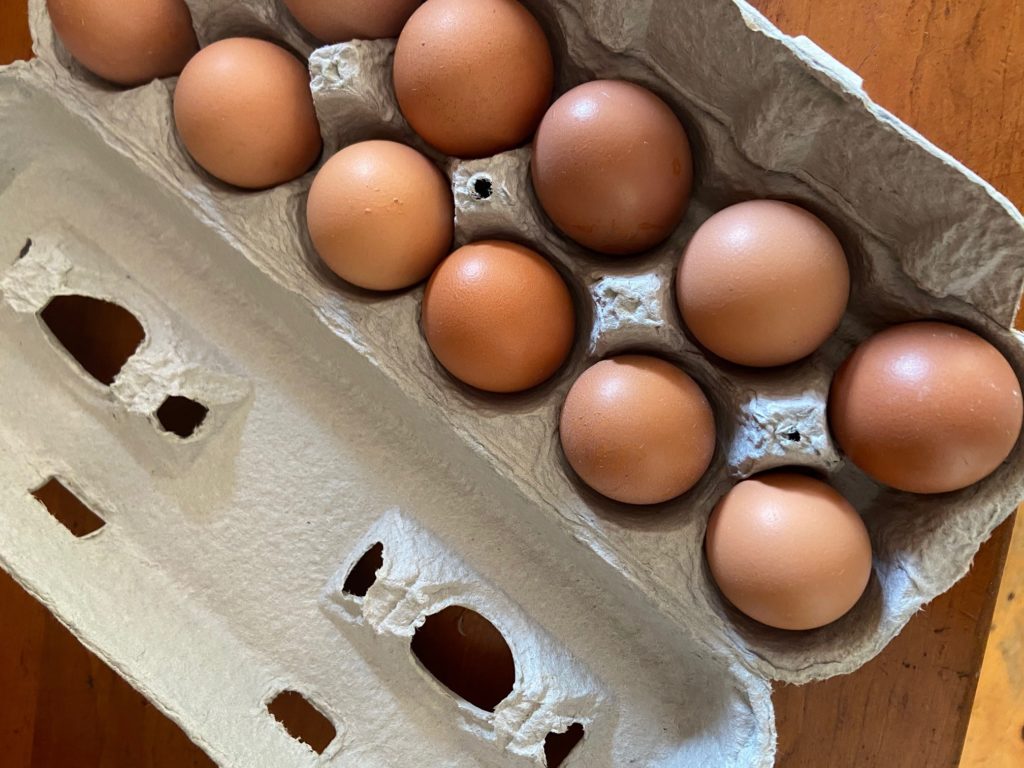 What’s the deal with these tiny eggs? – Misty Brook Farm